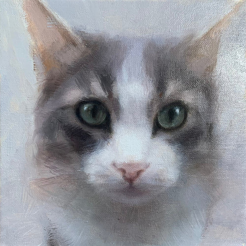 Sarah Halliday | Fine Artist and Designer | Custom Animal Commissions