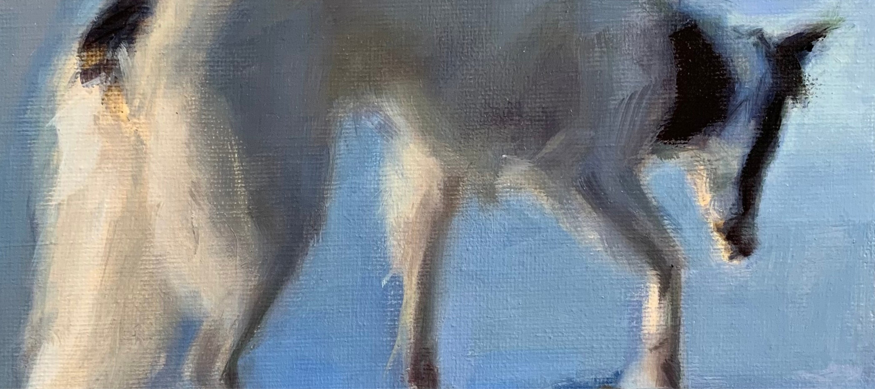 Sarah Halliday | Fine Artist and Designer | Custom Animal Commissions